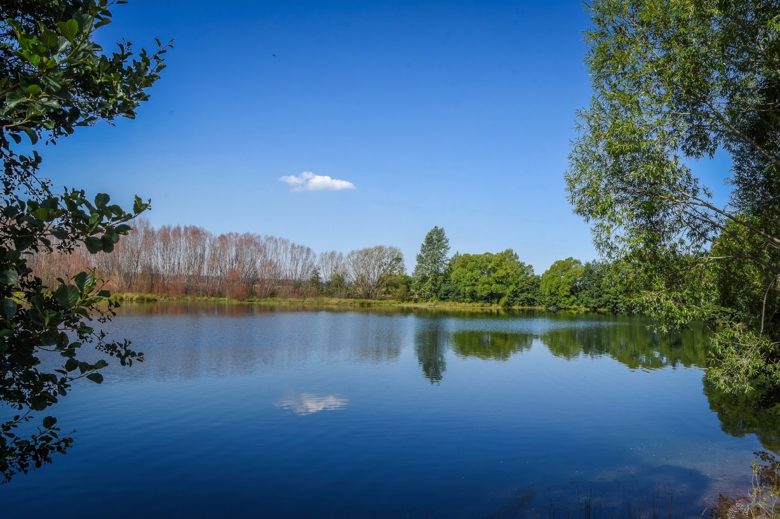 Paws Awhile: Lake Poaka