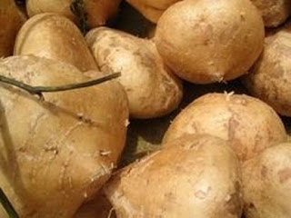 Various Jicama Nutrition & Health Benefits : Healthfame.com