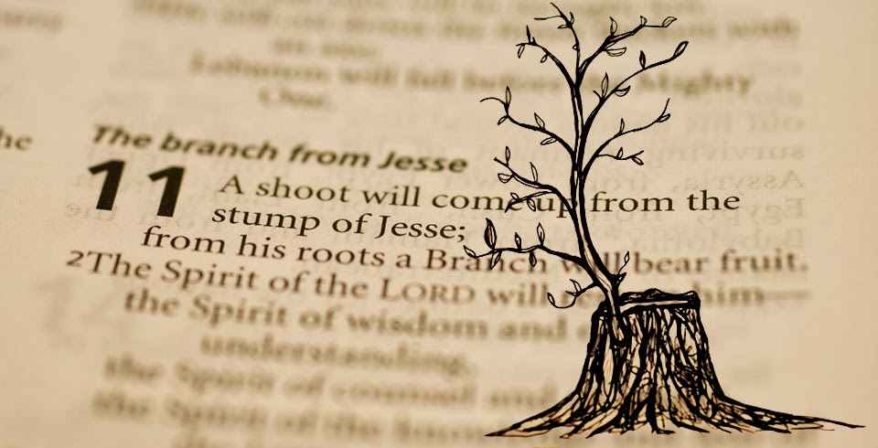 Advent Explorations: New Shoots