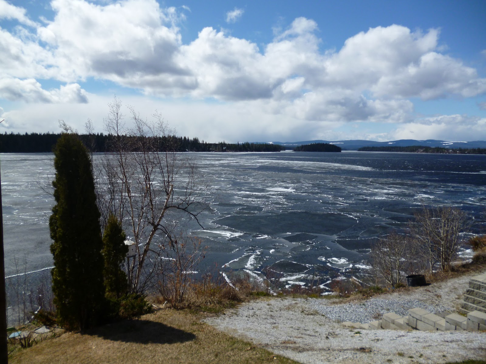 Cluculz Lake Happenstance - Joylene Nowell Butler