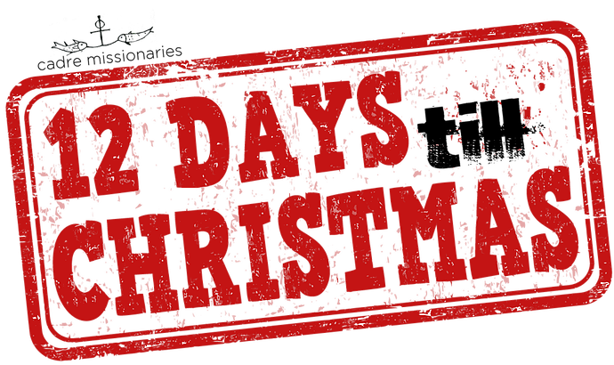 12 Cadre Days Till Christmas...