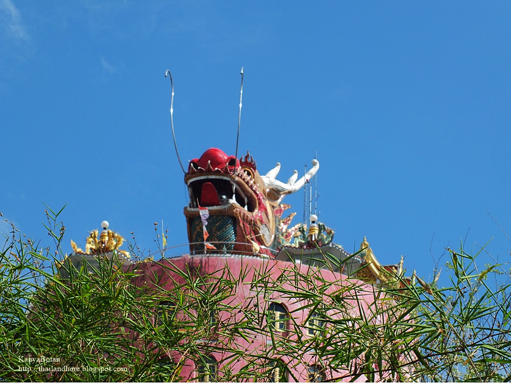 Thailand here ทริปตามใจ ไปตามทาง: วัดสามพราน นครปฐม Wat Sampran Dragon ...