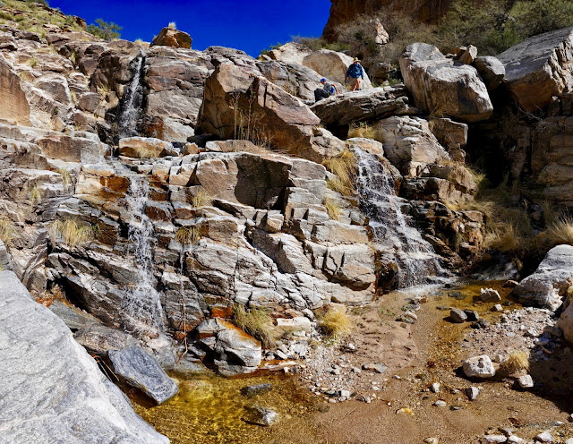 Earthline: The American West: Soldier Canyon, Pusch Ridge Wilderness