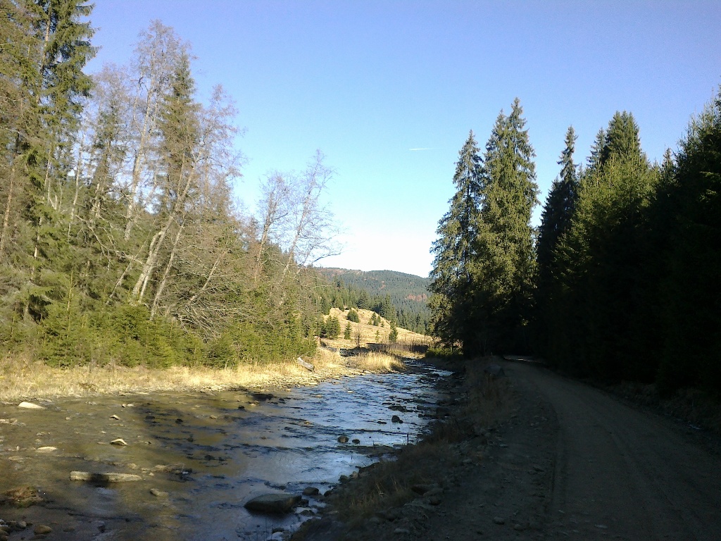 Silviu Bălan : Lacauti- Vrancei