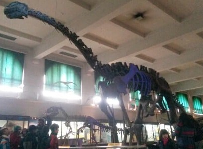 Noticias de Paleontologia: Patagosaurus fariasi, un gran dinosaurio ...