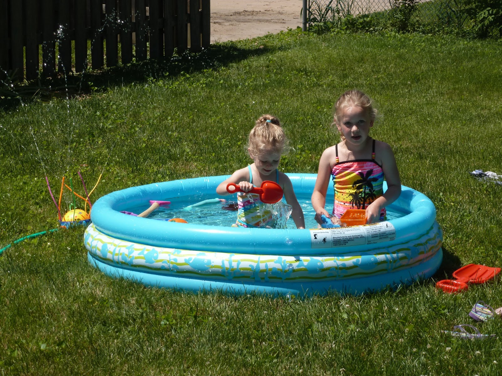 Isaacson Family: Backyard Pool