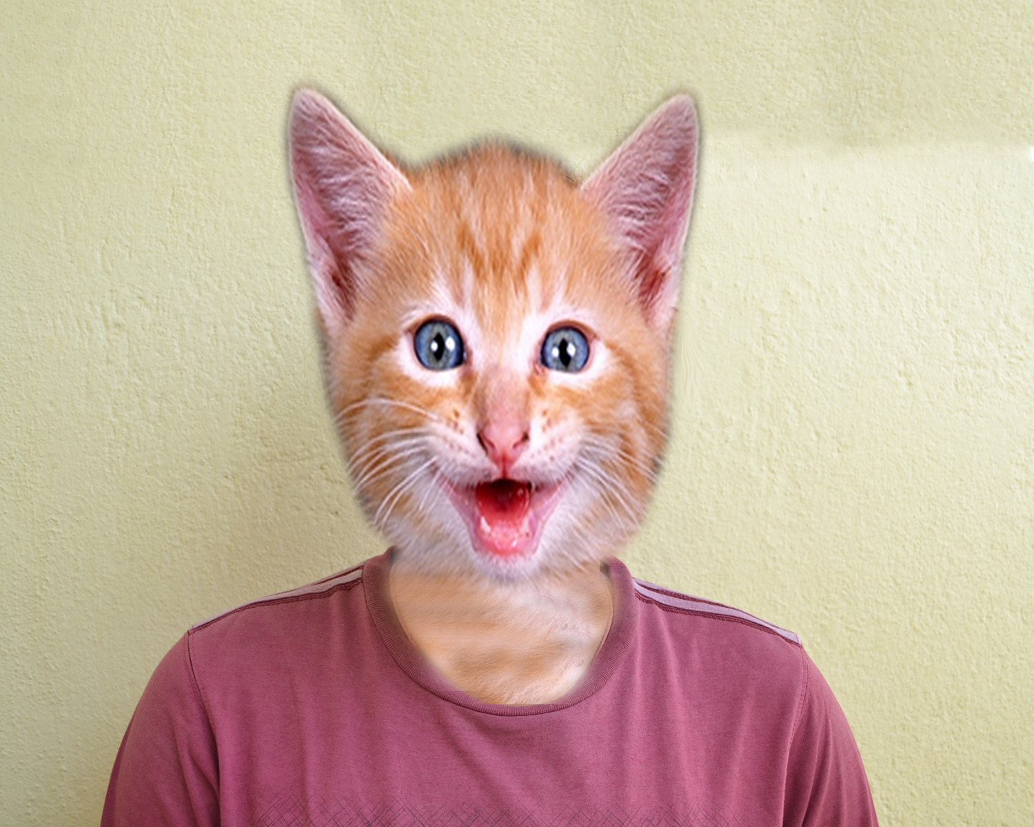 The 3D Artist: Metaphormism from human to a cat