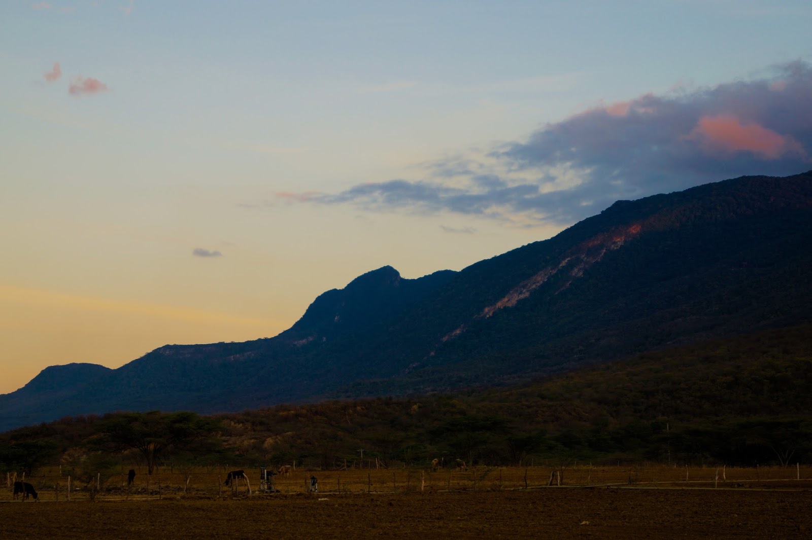 Naturaleza Luminosa: 20 Fotografías de Falcón que te sorprenderán ...