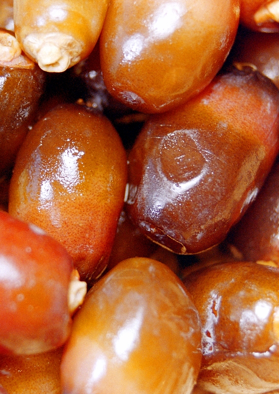 In my Iraqi Kitchen: Recipes, History and Culture, by Nawal Nasrallah