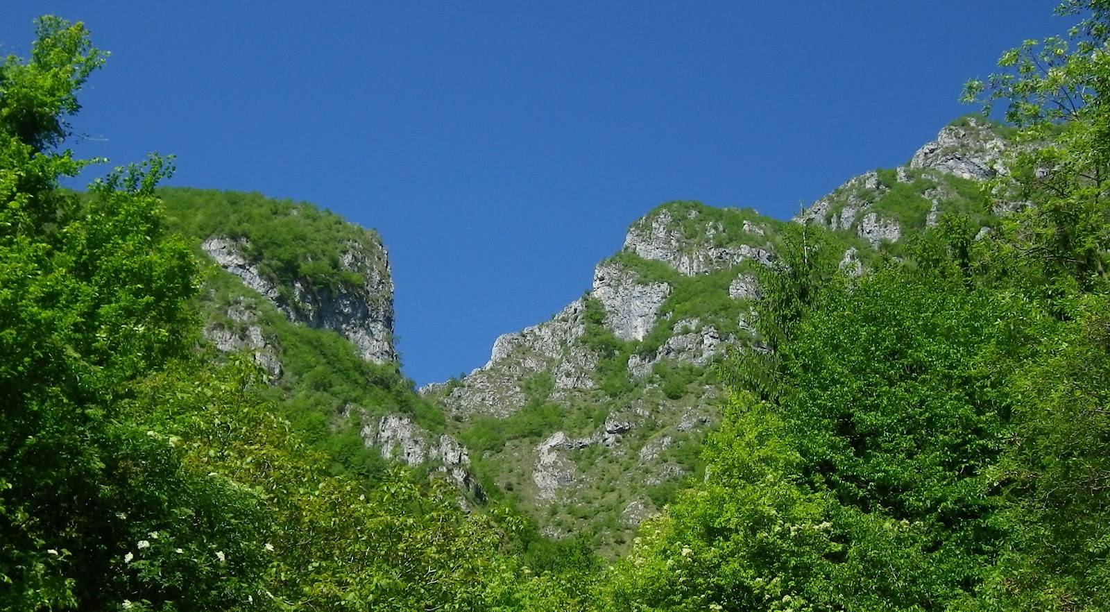 Cycling Dolomiti Friulane: Bosco delle Penne Mozze
