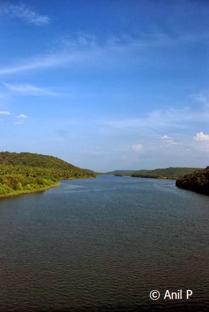 Windy Skies: Enroute To Vengurla, A Sea Of Fish On Land