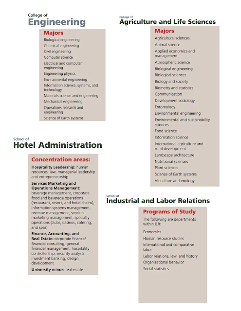 Unpacking the Meta-Major Concept - Continuous Learner