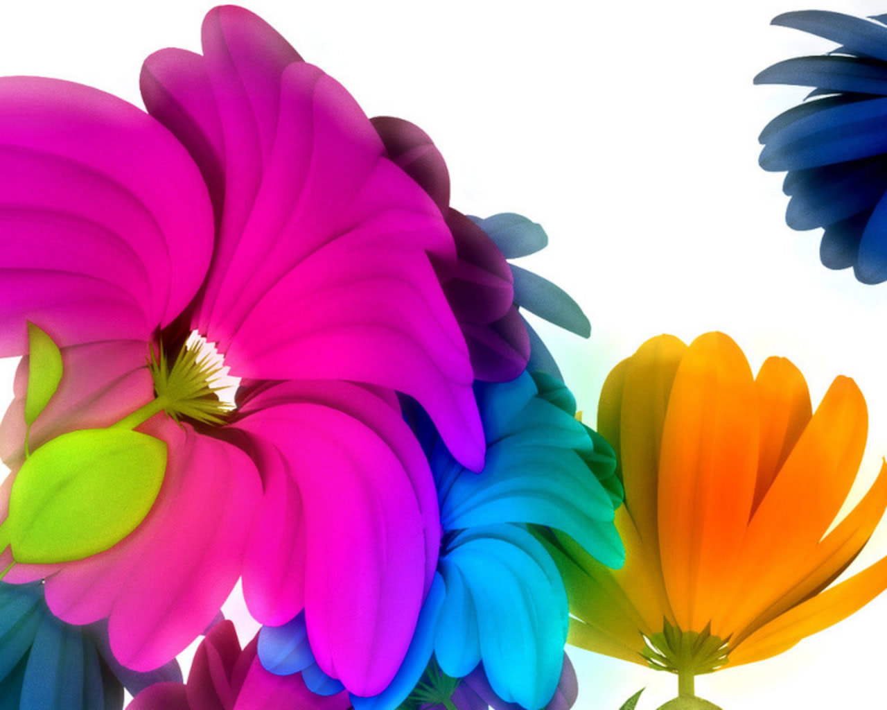 Flores con colores - Imagui