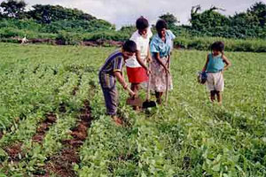 CARACTERISTICAS DE LA POBLACION RURAL Y URBANA: Caracteristicas de la ...