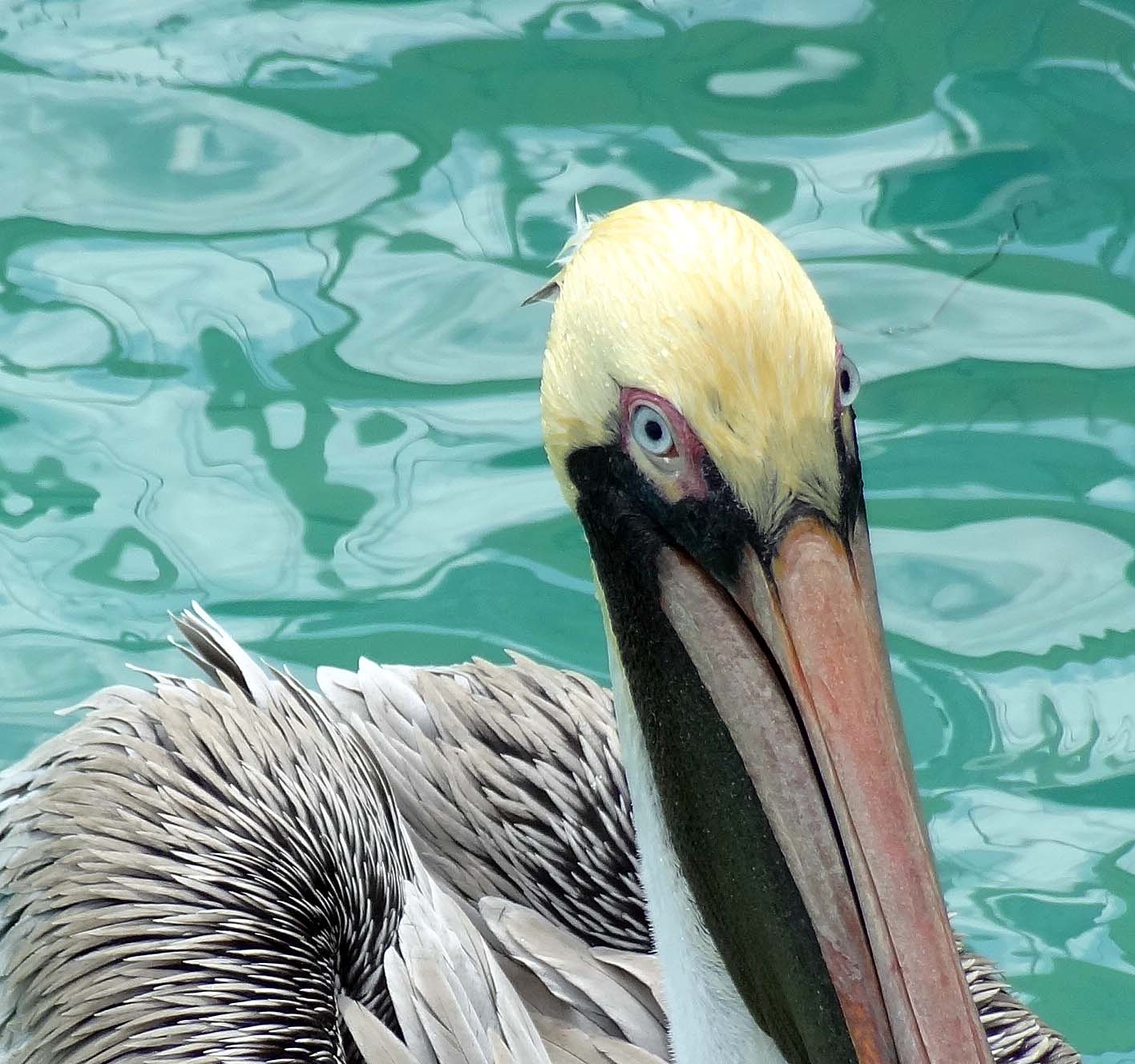 Joe's Retirement Blog: February 2013