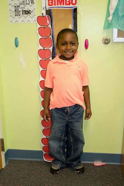 Teach Them To Fly: Measuring Our Height in Apples