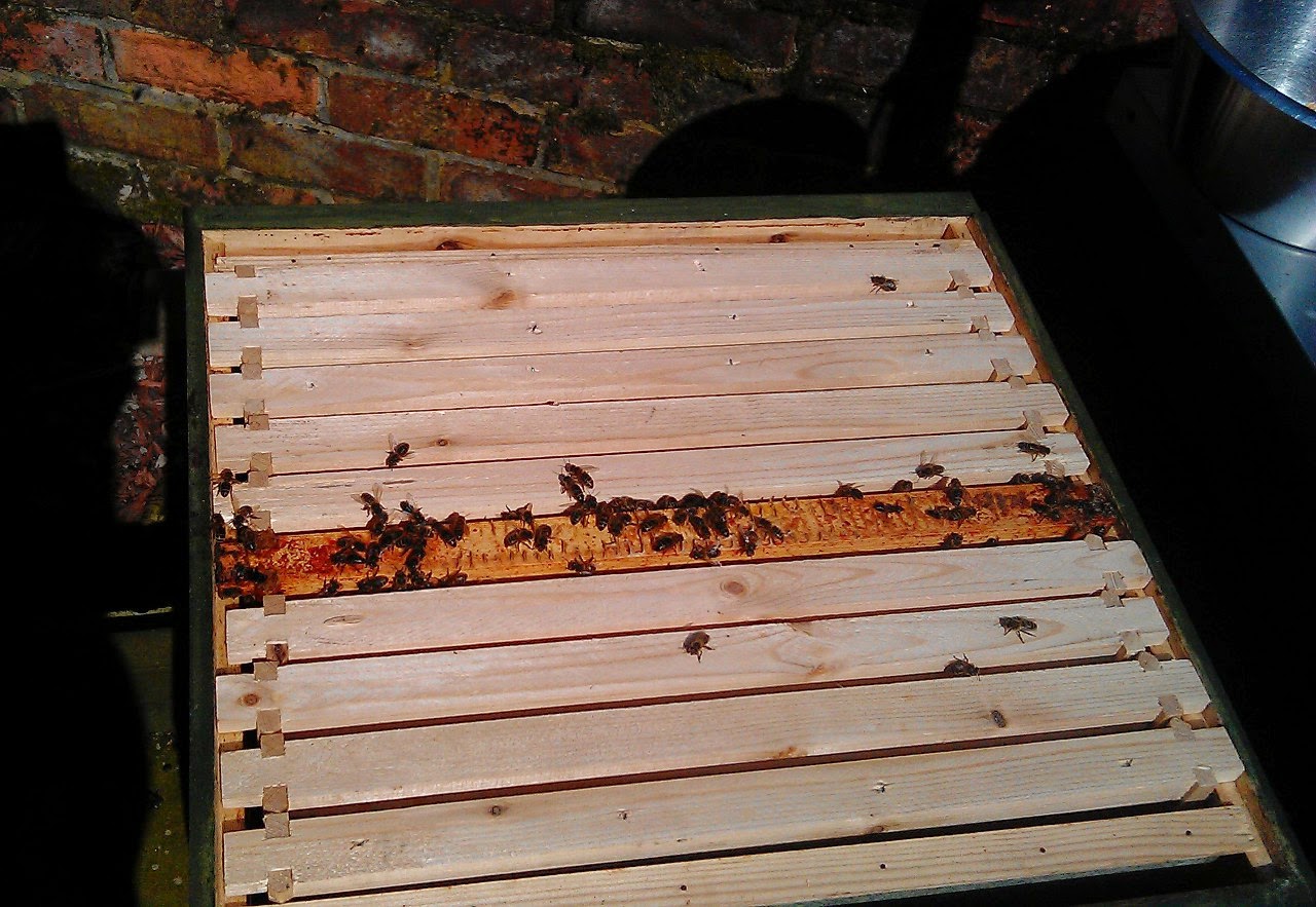 The Hivemind and Me: Demaree Method of Swarm Control