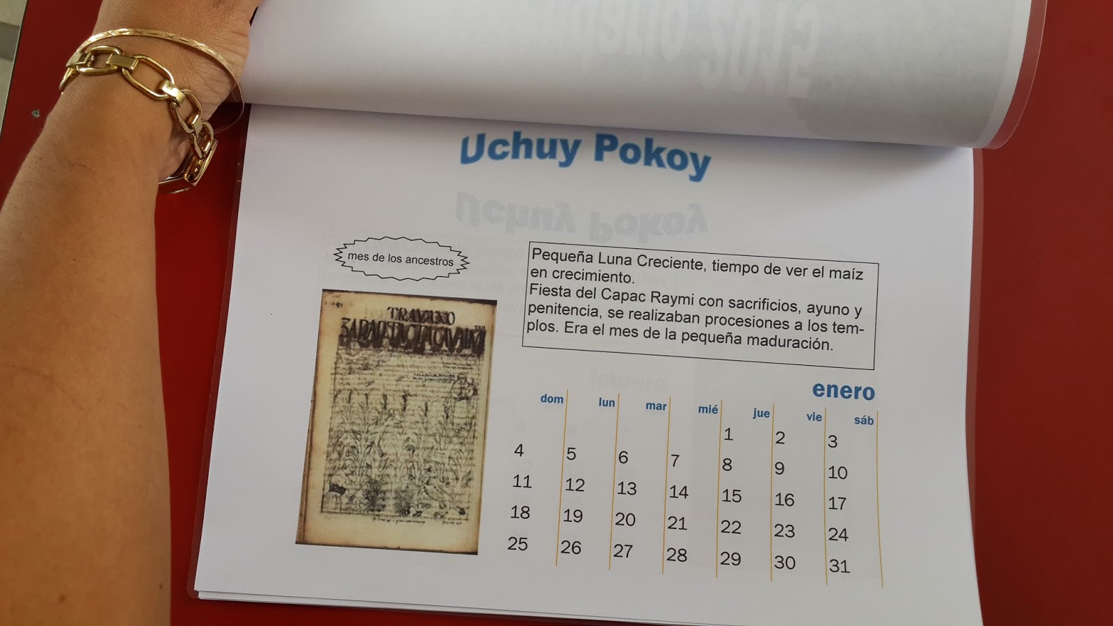De Primero a Quinto: Confección de un Calendario Inca (Actividad Didáctica)