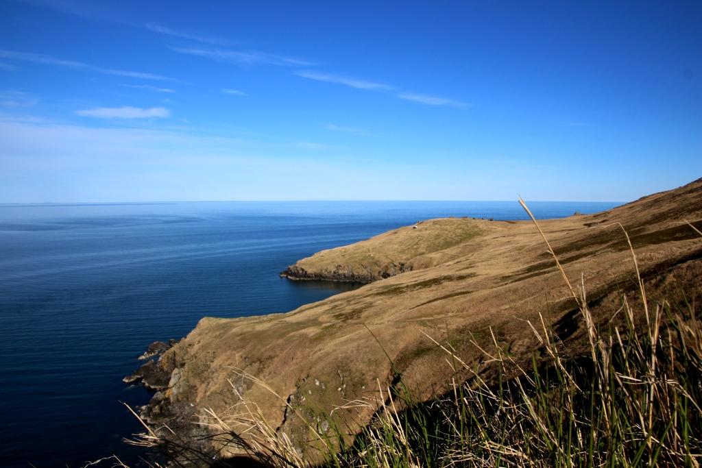 each day an adventure in alaska: around Round Island...
