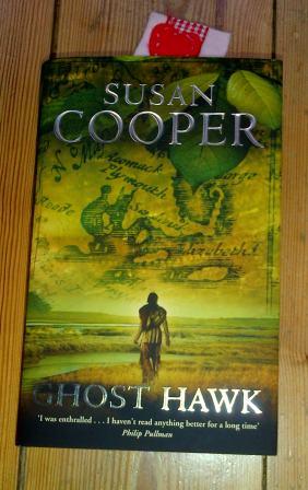 We Sat Down: Ghost Hawk - Susan Cooper
