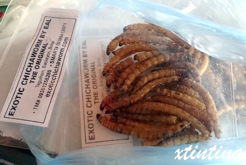 Bohol 2017: Chill Morning and Pasalubong Hunting - celebraTINg exisTENce