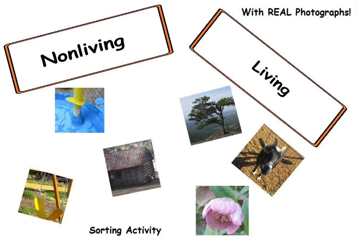 Living and Nonliving Sorting Activity