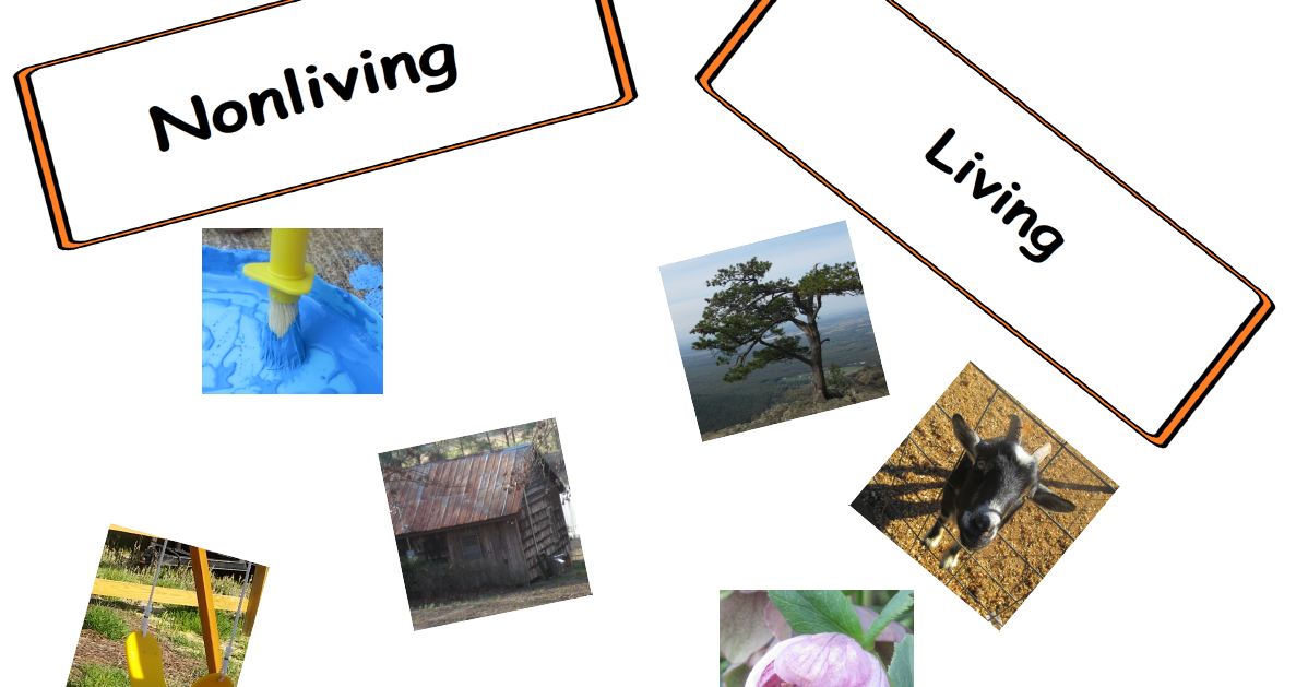 Living and Nonliving Sorting Activity