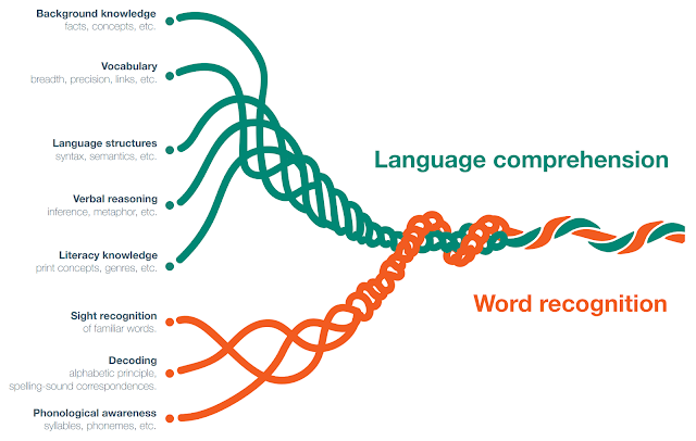 Scaffolding Structures for Reading Comprehension Skills |Aidan Severs ...