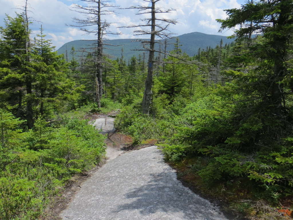 Mountain Wandering: Mount Hale Loop: 7/4/13