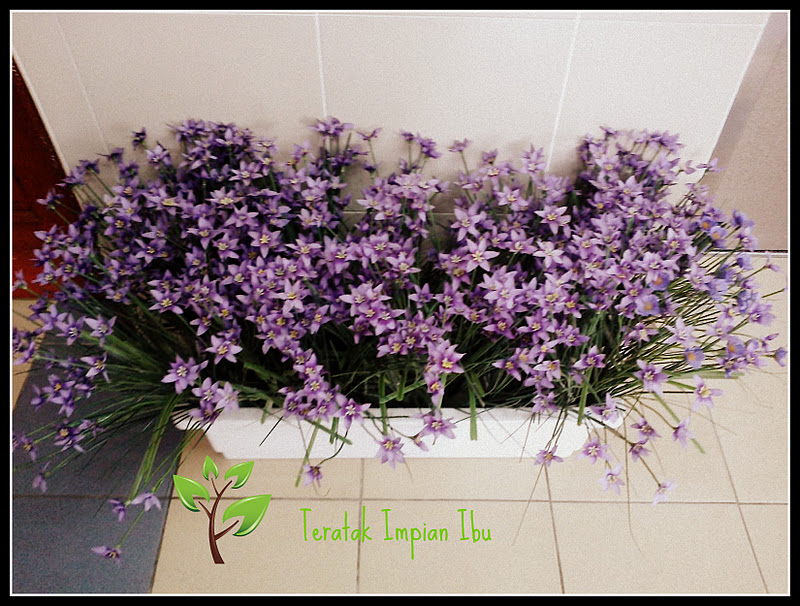 Bunga dalam pasu....