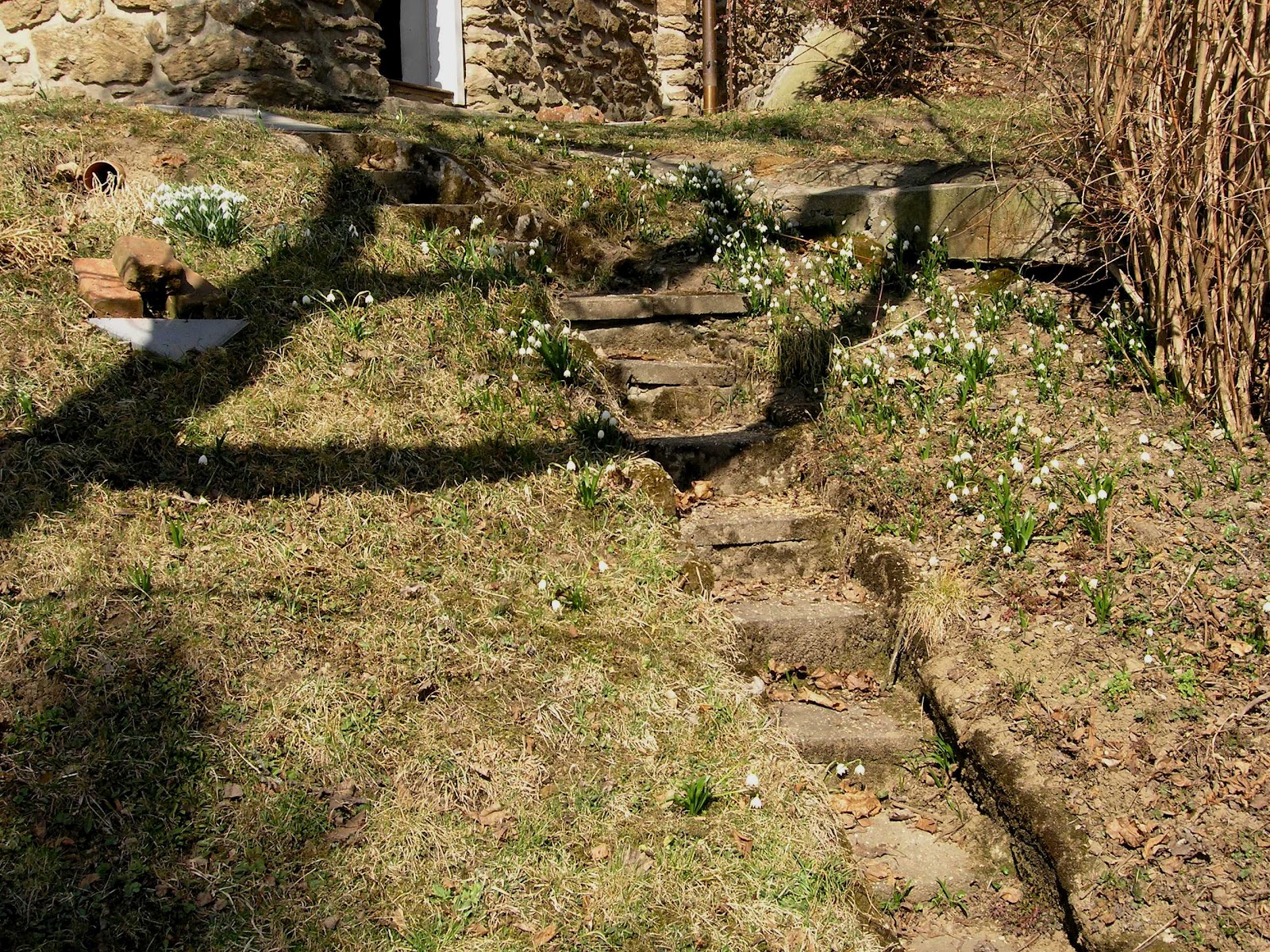 Dědečkova zahrada: Schůdky ve stráni