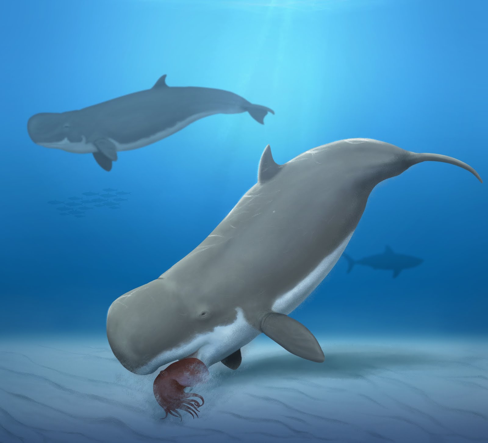 Species New to Science: [PaleoMammalogy • 2020] Scaphokogia totajpe • A ...