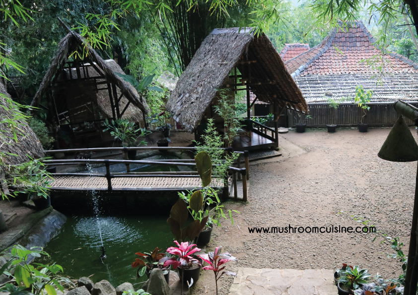 Kebon Awi Kaffee: Masakannya Nikmat Pemandangannya Sedap | Mushroom Cuisine