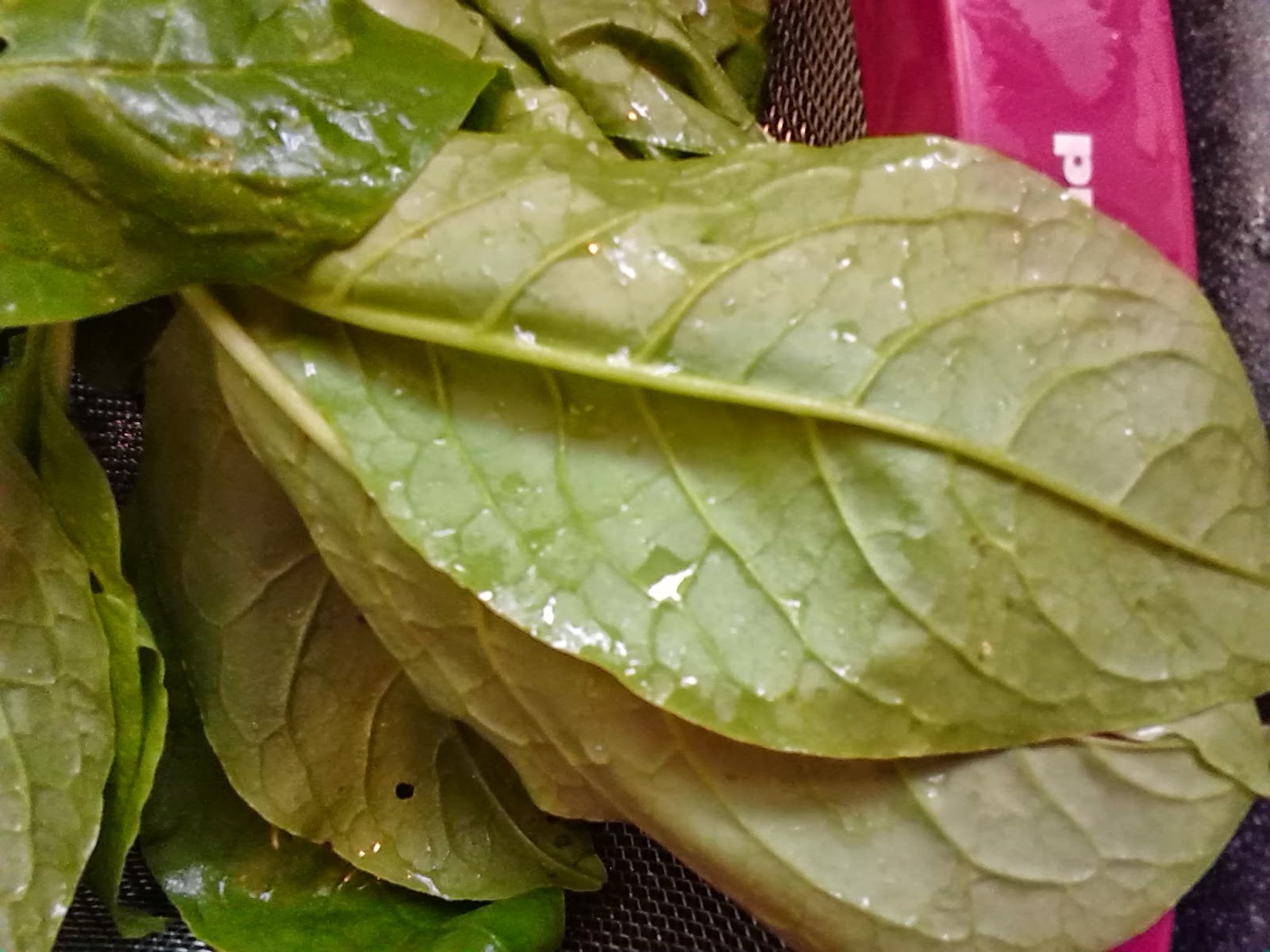 Southern Forager: Fried Poke Sallet - It's a Southern Thing!
