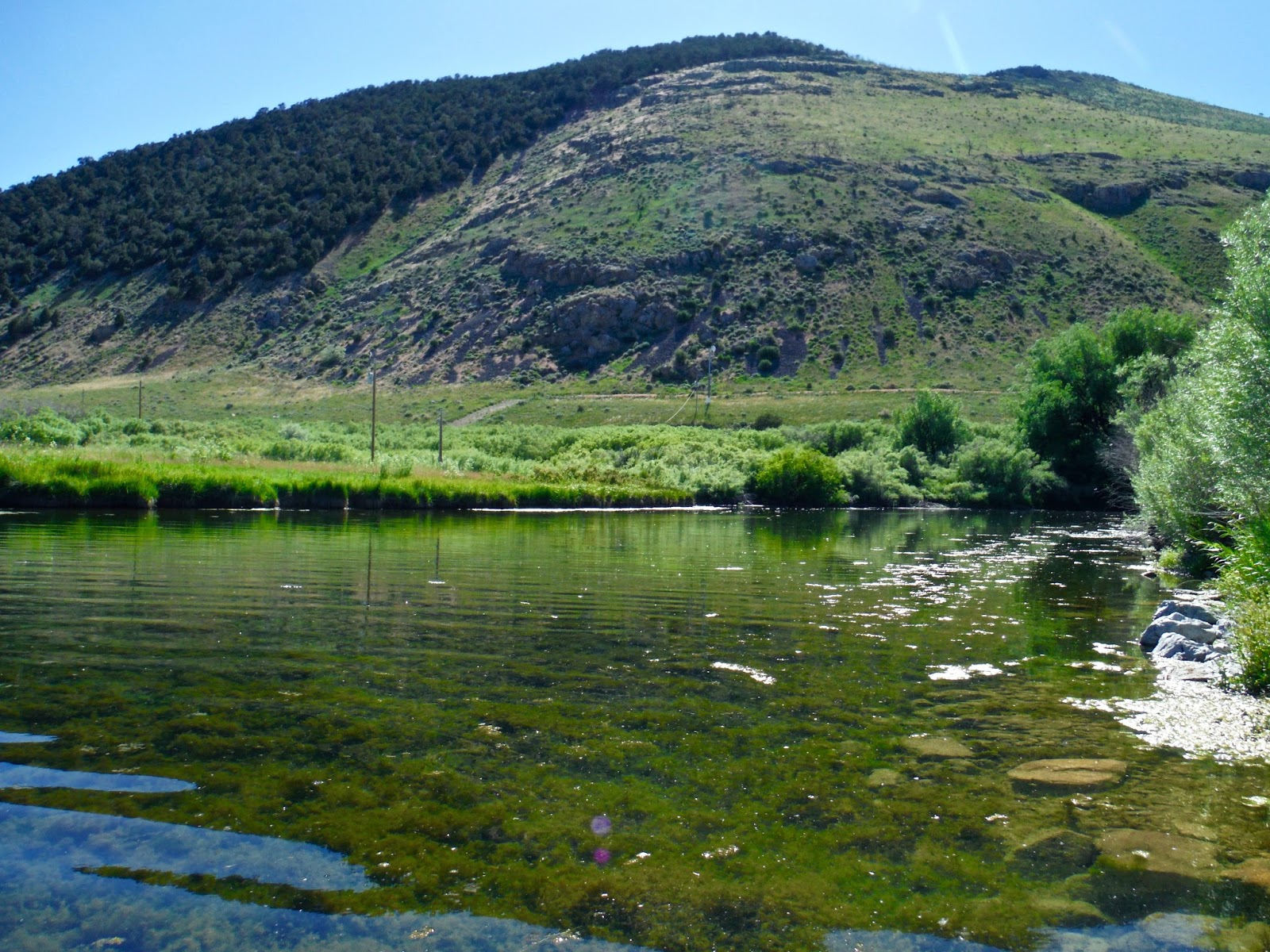 Erik’s Fly Fishing Blog: Ruby Marsh