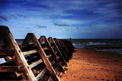 Alexis's Digital Photos: Types of Perspective in Photography