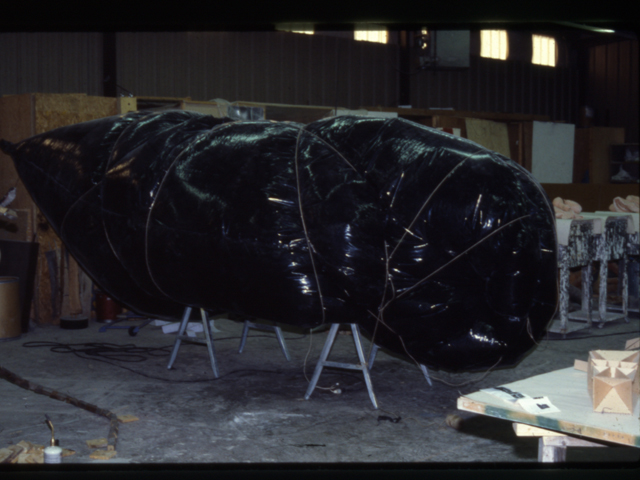 tos ethan pettit gallery: The Inflatable Man