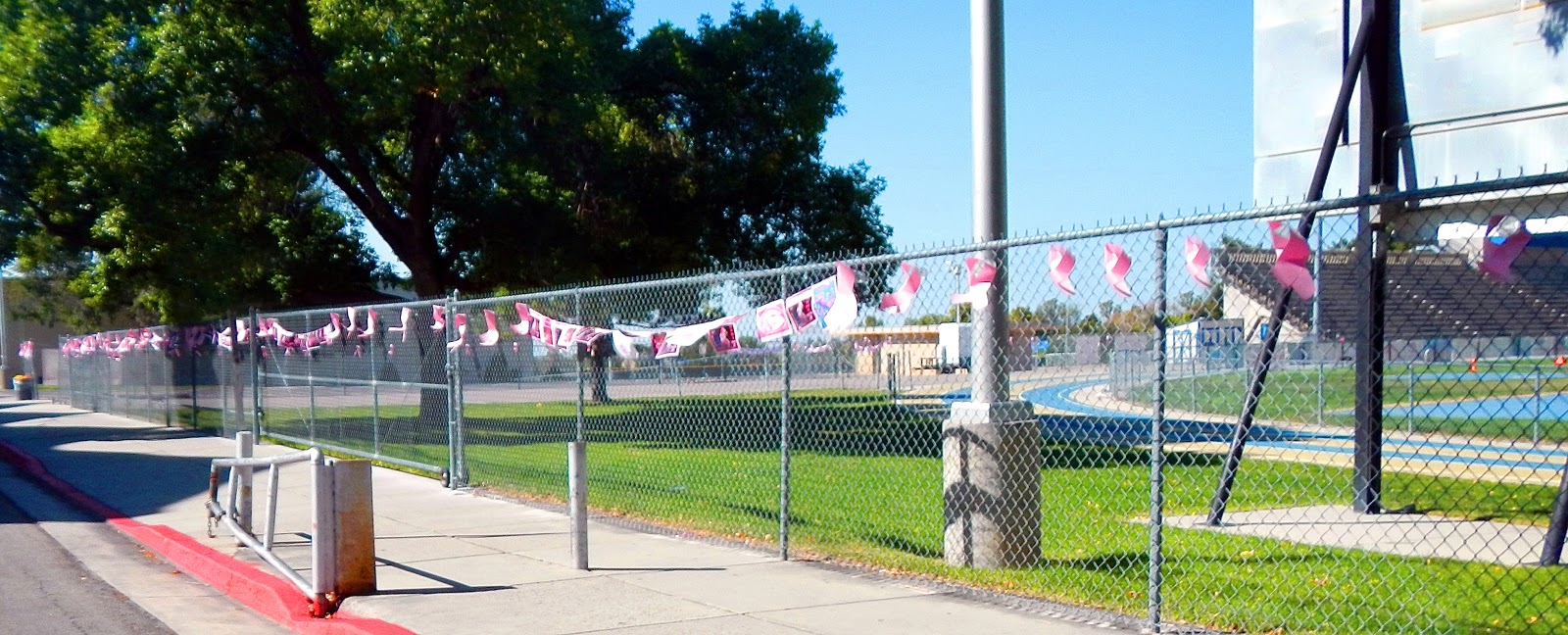 Site Under construction! High School Awareness Pink Out Football Game ...