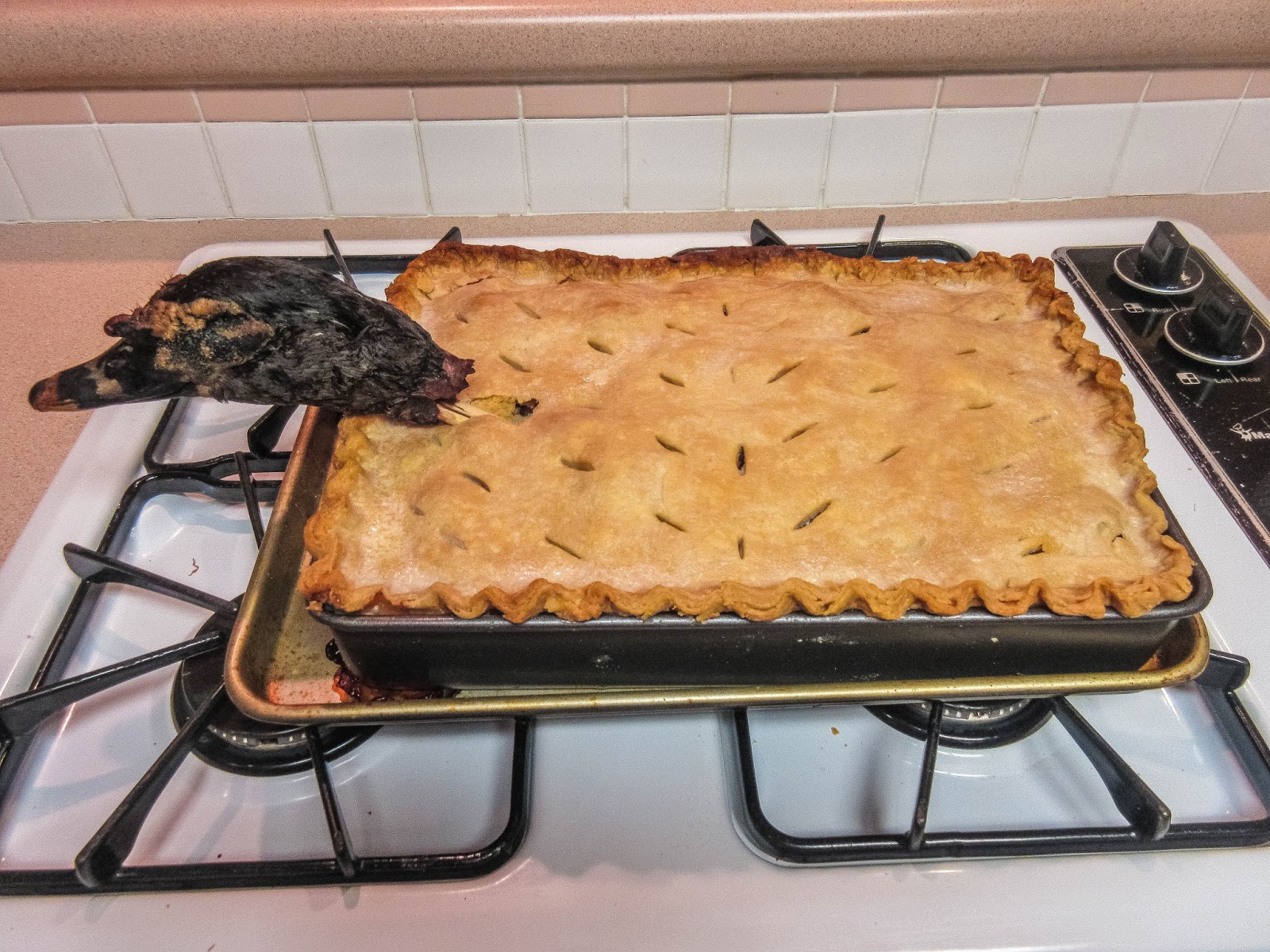Cannundrums: Peacock and Vegetable Pie