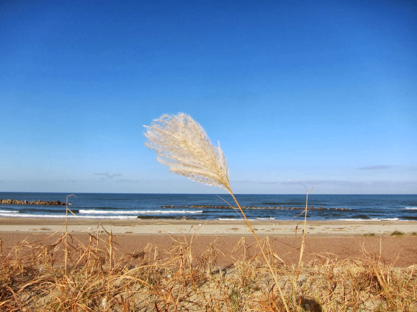 Visit Japan, Travel Japan, Discover Japan: Scenic Drive On the West Coast