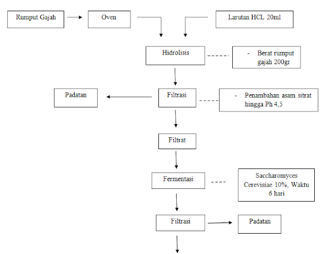 KimiaOrganik: CARA KERJA PRODUKSI BIOETANOL DARI RUMPUT GAJAH SECARA KIMIA