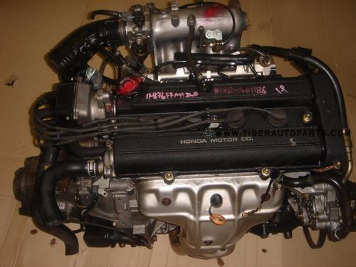 The Best Honda Engines ! B18 LS 3 - TEAM IMPORTS