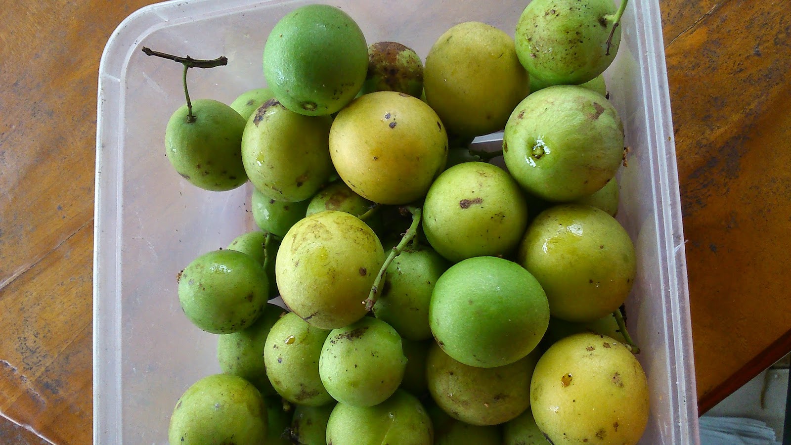 BukanSayaDisini: Kemasaman Buah Star