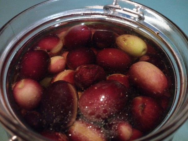 Preserving olives three ways | Grow Gather Enjoy