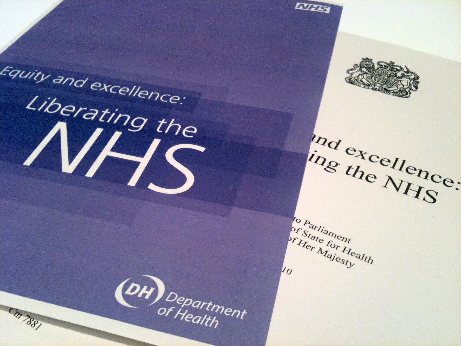 steve lee design: Designing Services in a Changing NHS