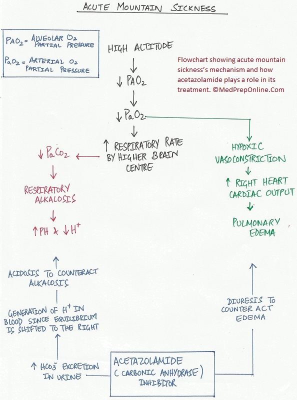 MedPrepOnline: December 2012