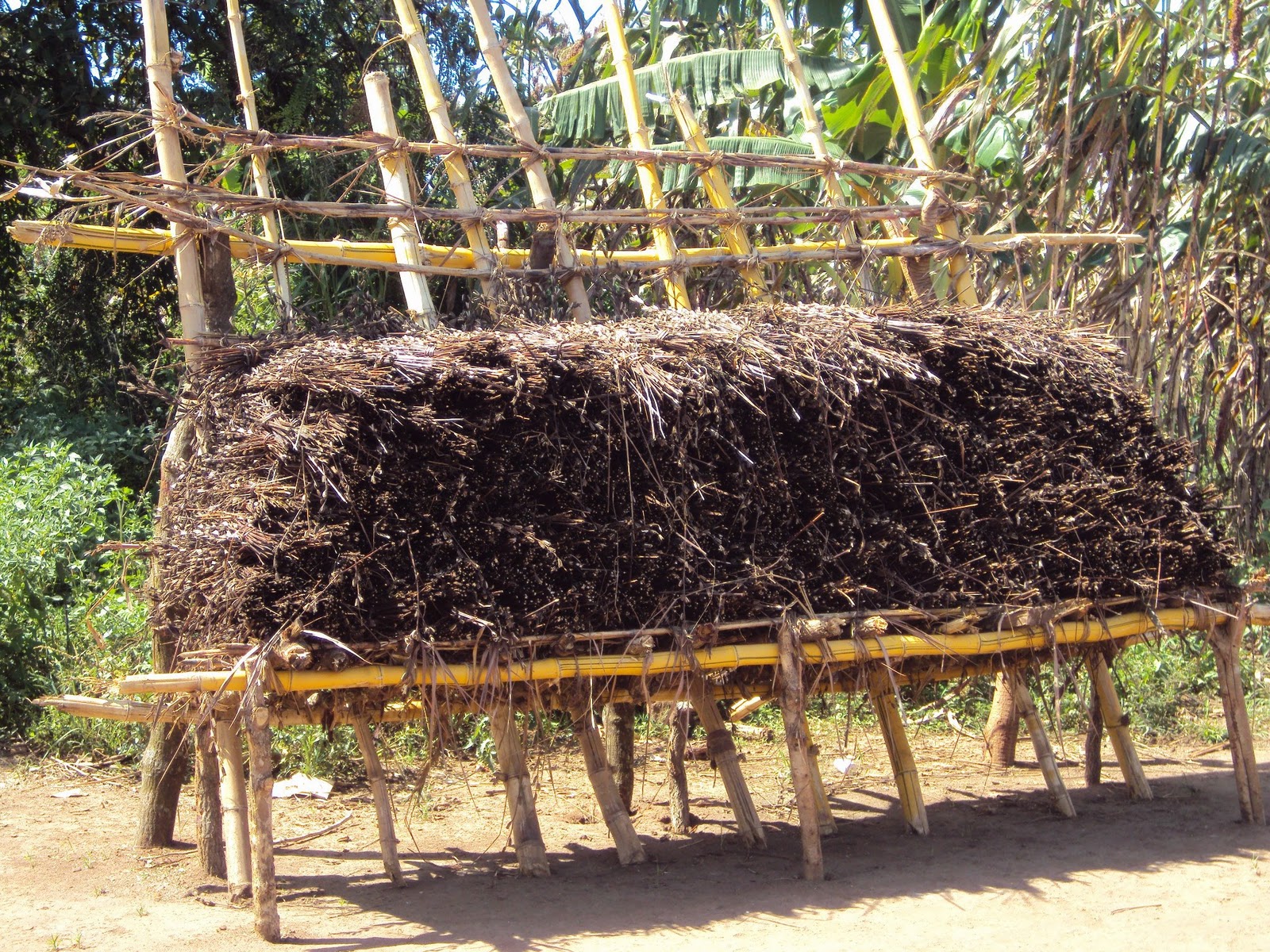 Digesting Africa: Lango 101 and Why it Matters