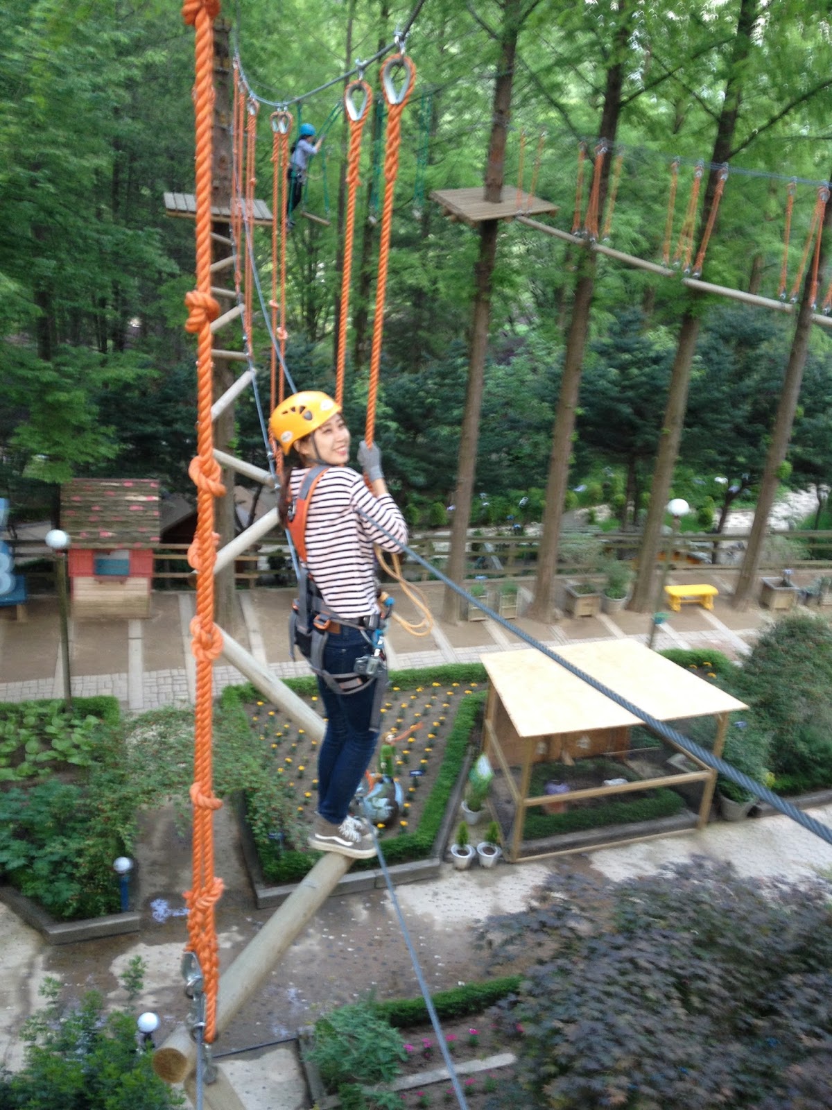 Hillcrest Zip-Lining Adventure in Daegu, Korea - Adventure in Nature
