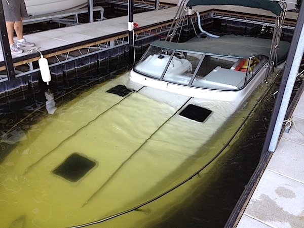 Robert Edgin Insurance & Financial