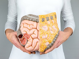 10 formas Práticas Para Melhorar Sua Digestão - Saúde & Conhecimento